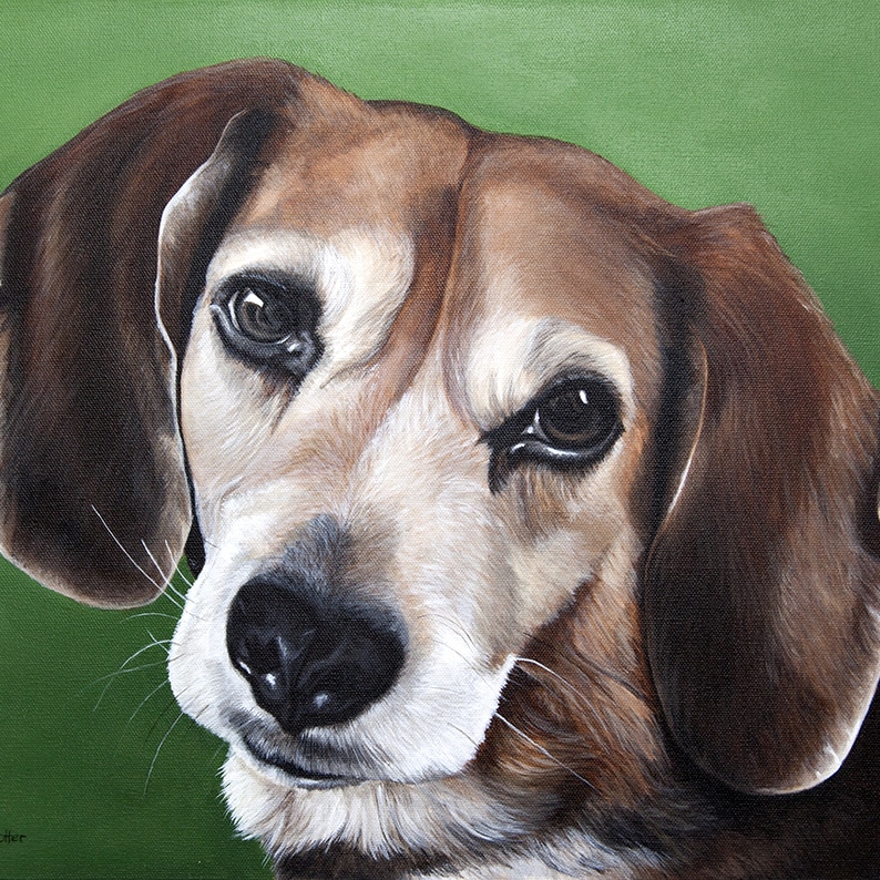 Custom Beagle Painting: Beagle Bailey's Personalized Portrait